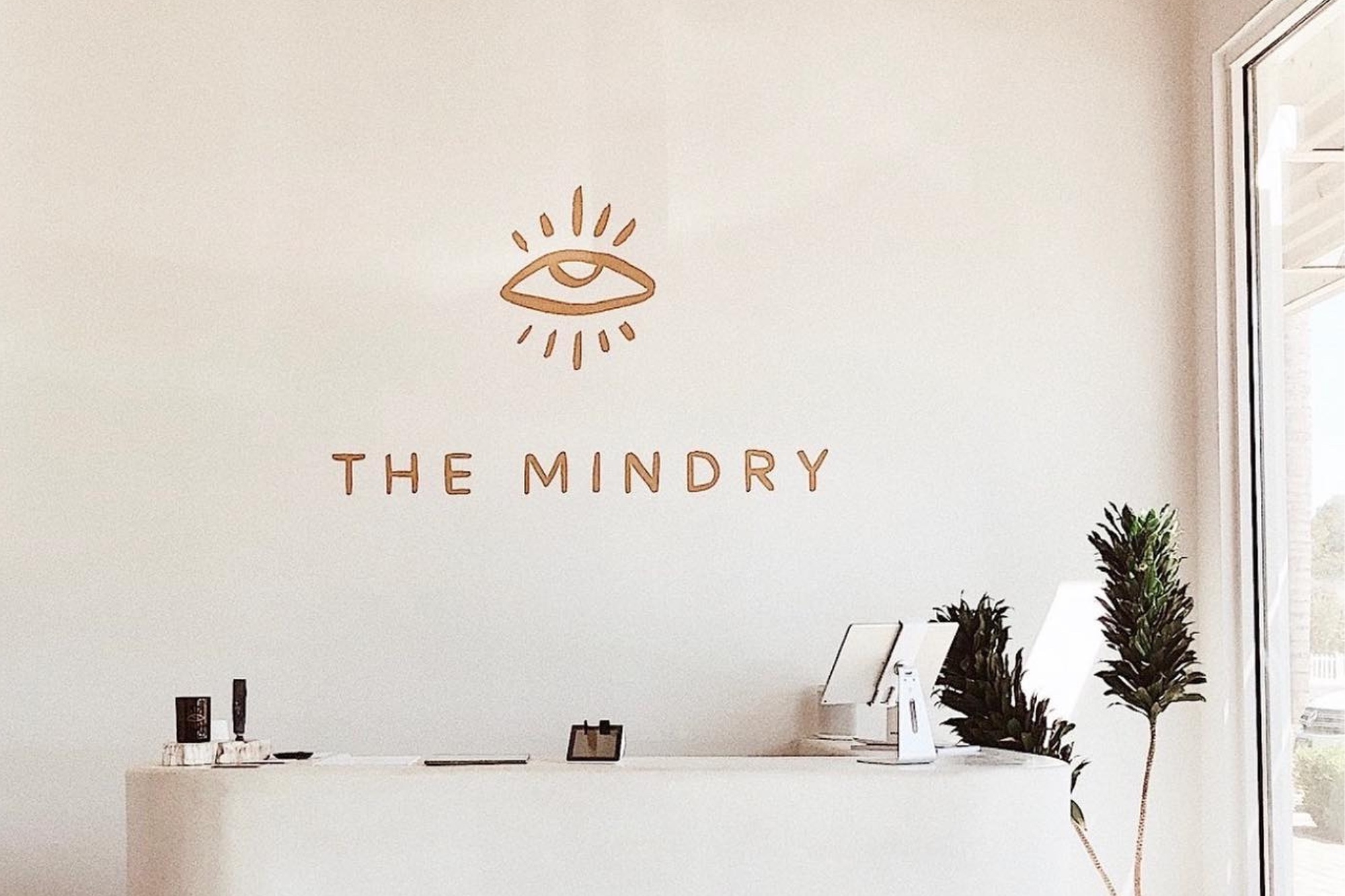 Wellness Workshops | 9x by APN